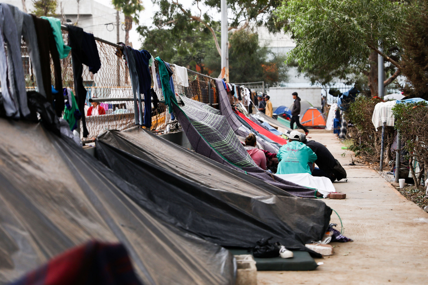 A Third of Migrant Caravan Participants Have Health Issues Including ...
