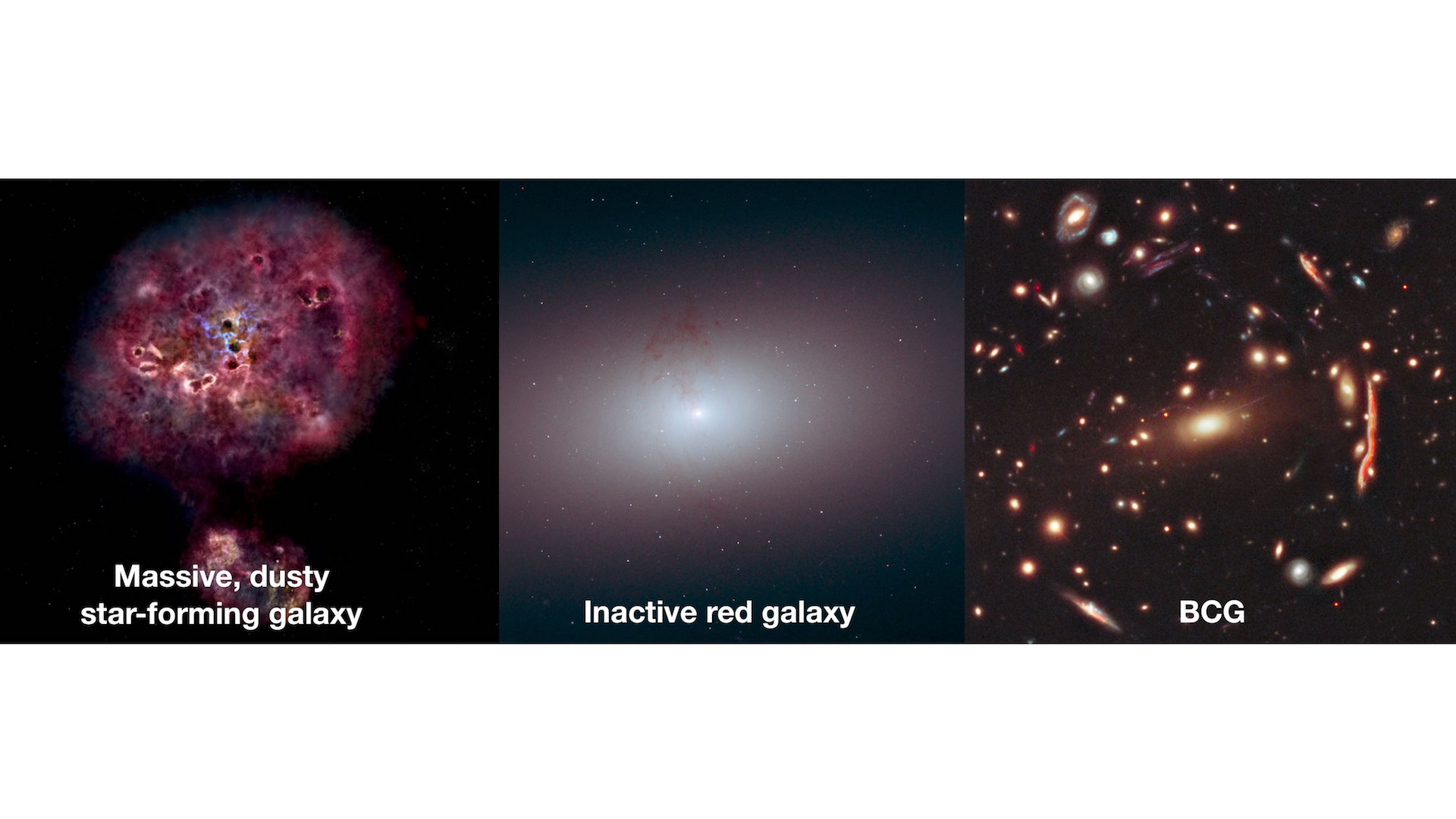 Dead Monster Galaxy Found Lurking in the Distant Universe