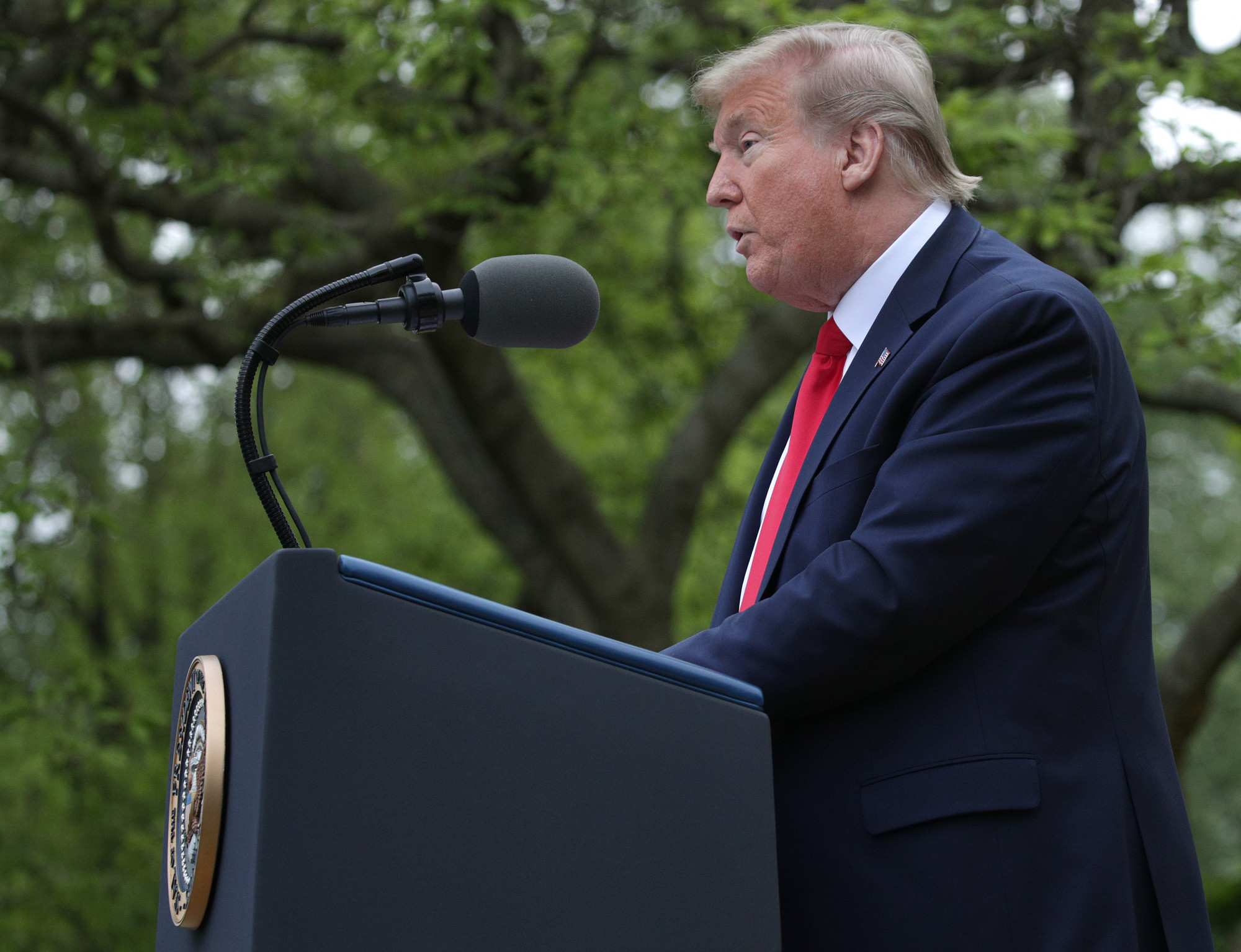 Trump: ‘Liberate’ Virginia, Michigan, and Minnesota